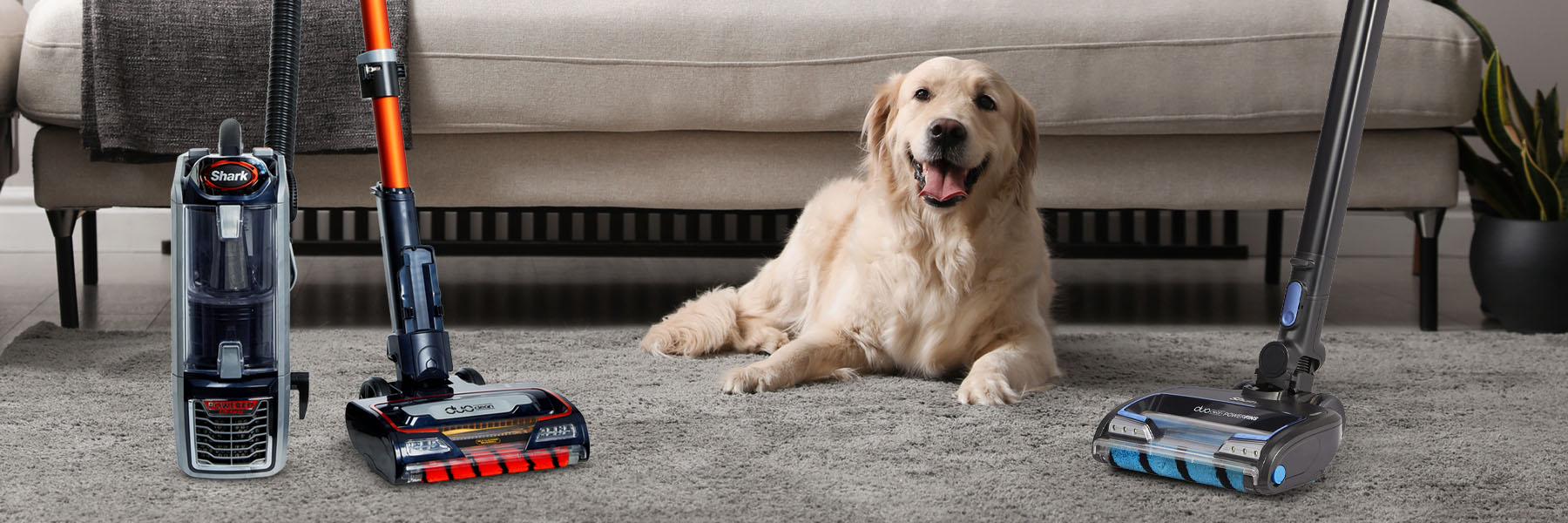 Find Your New Best Friend – Shark Clean New Zealand